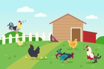 15 Fun Farm Songs for Preschool (with Lyrics) - Empowered Parents